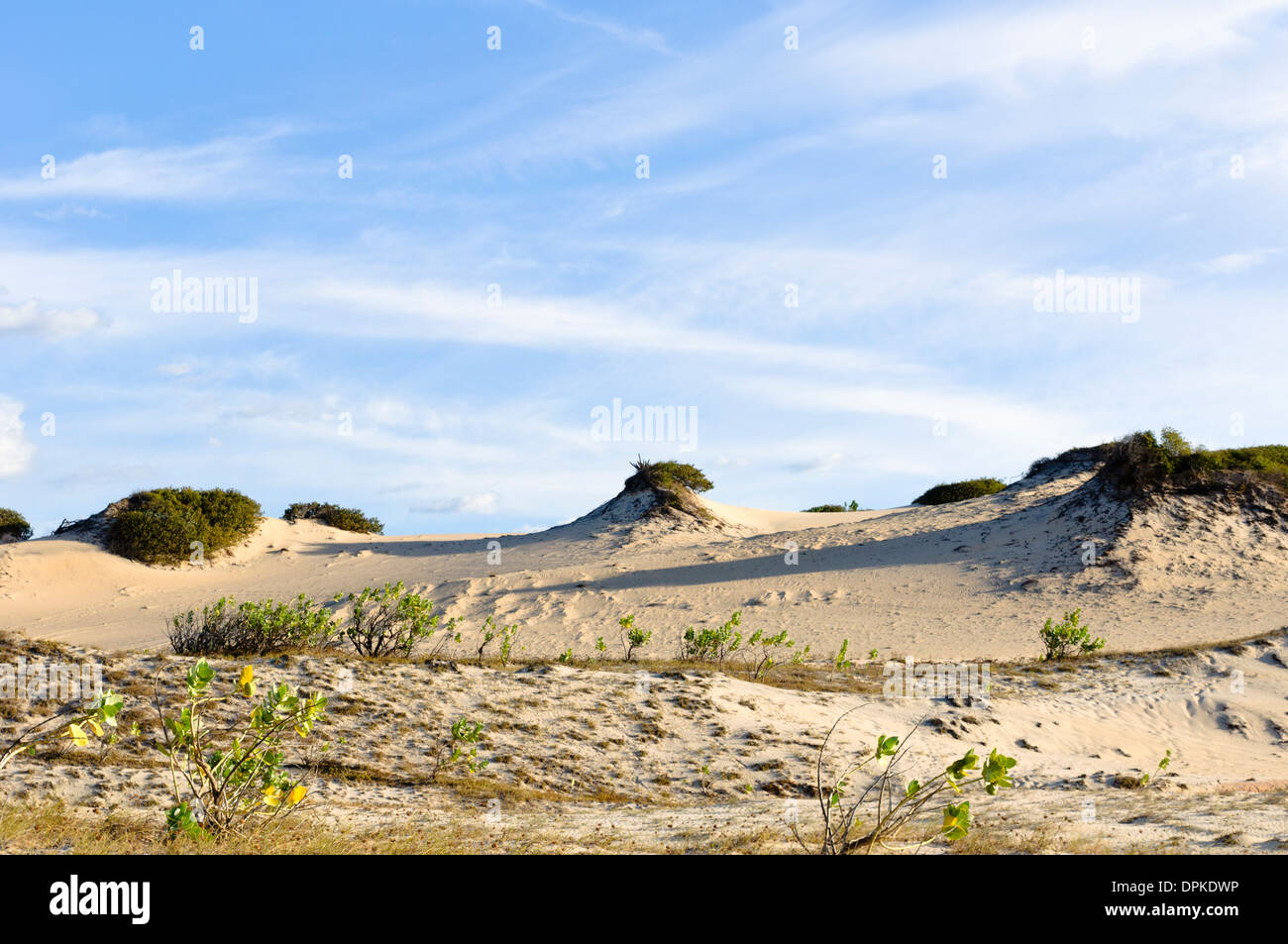 Pipa beaches hi-res stock photography and images - Alamy