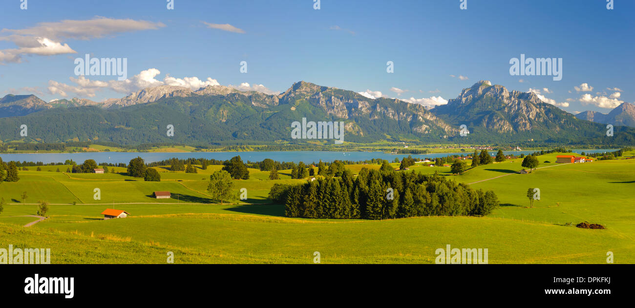 panorama landscape in Bavaria, with lake Forggensee and alps mountains ...