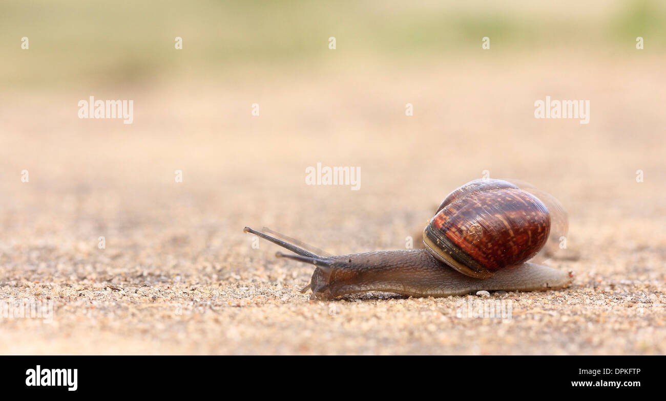 Visible motion hi-res stock photography and images - Alamy