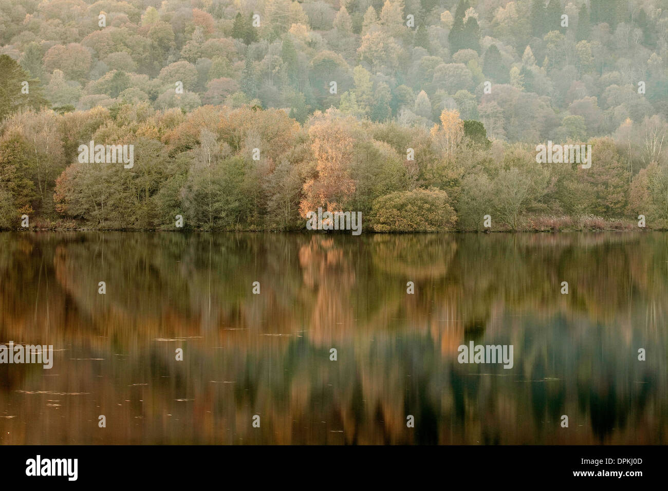Autumn colours reflected into Grasmere lake in the Lake District ...