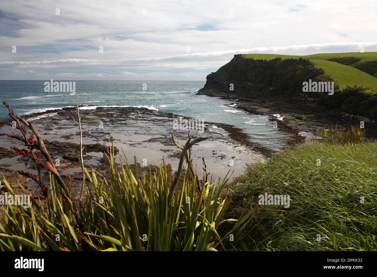 Fossilized trees hi-res stock photography and images - Alamy