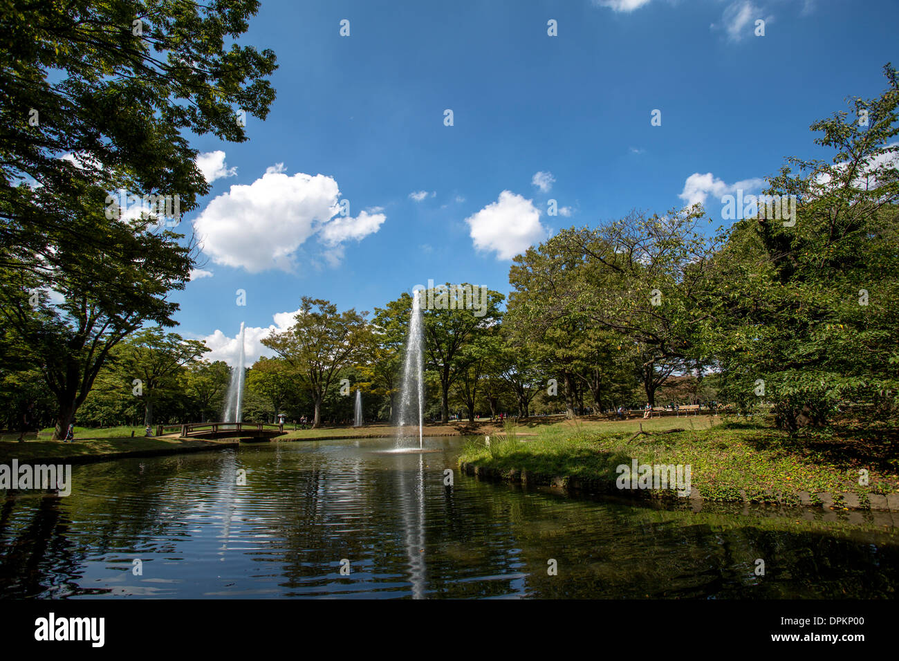Pond in a park Stock Photo - Alamy