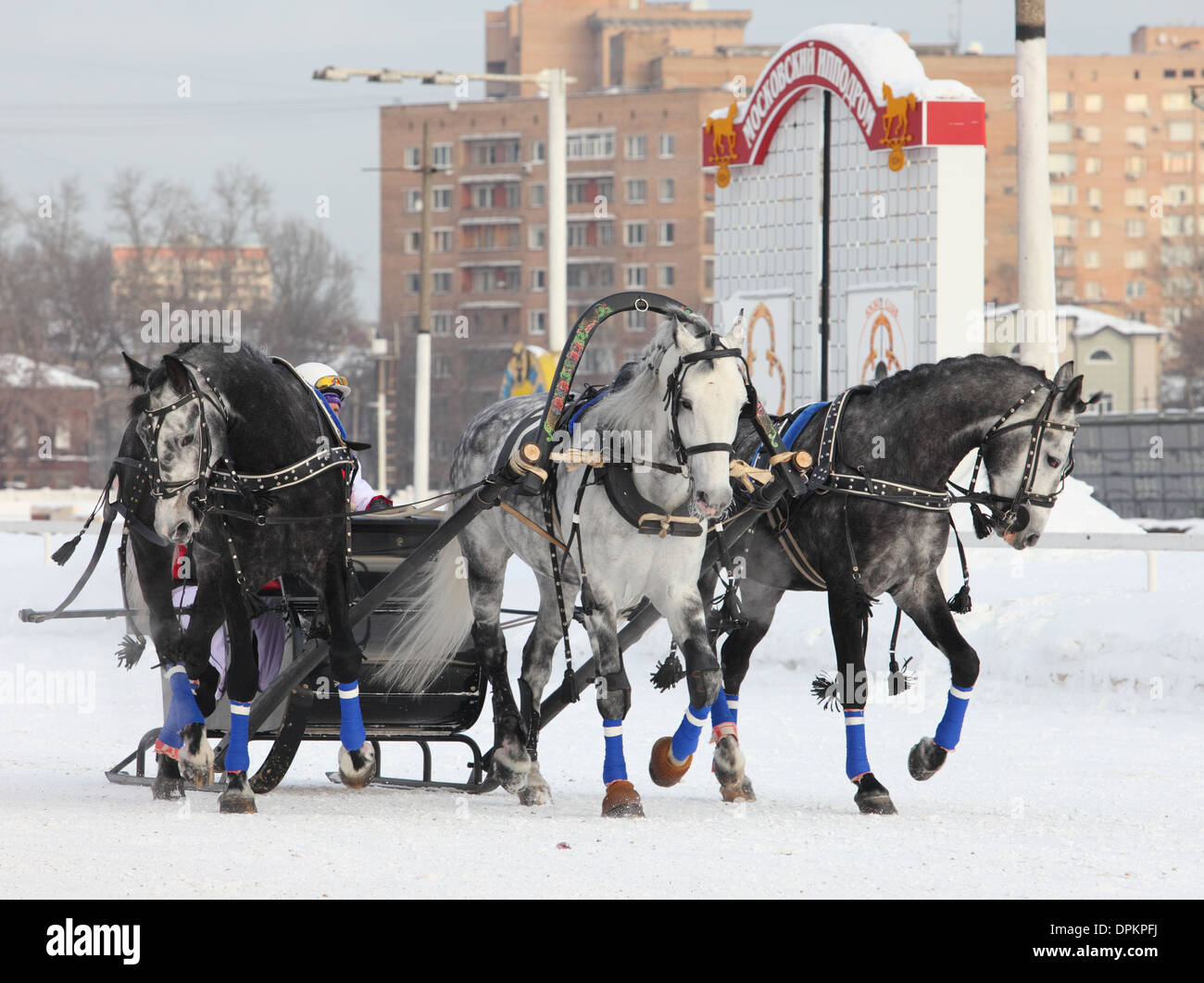 Three horse drawn hi-res stock photography and images - Alamy