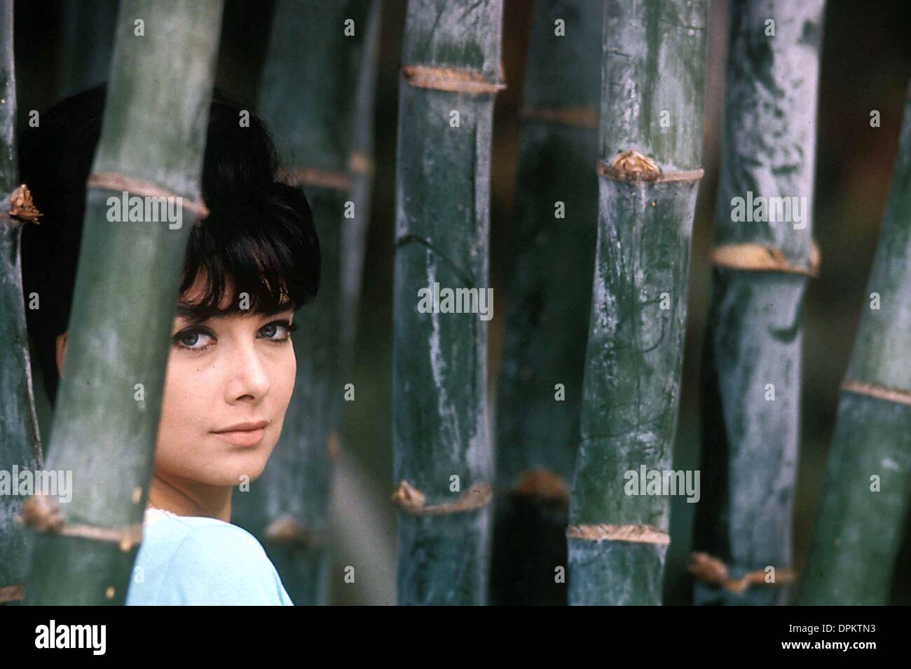 Suzanne pleshette 1962 hi-res stock photography and images - Alamy