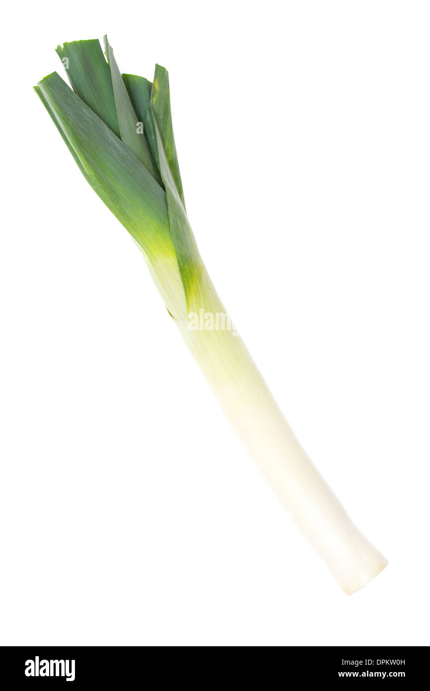 Fresh leek on white background Stock Photo - Alamy
