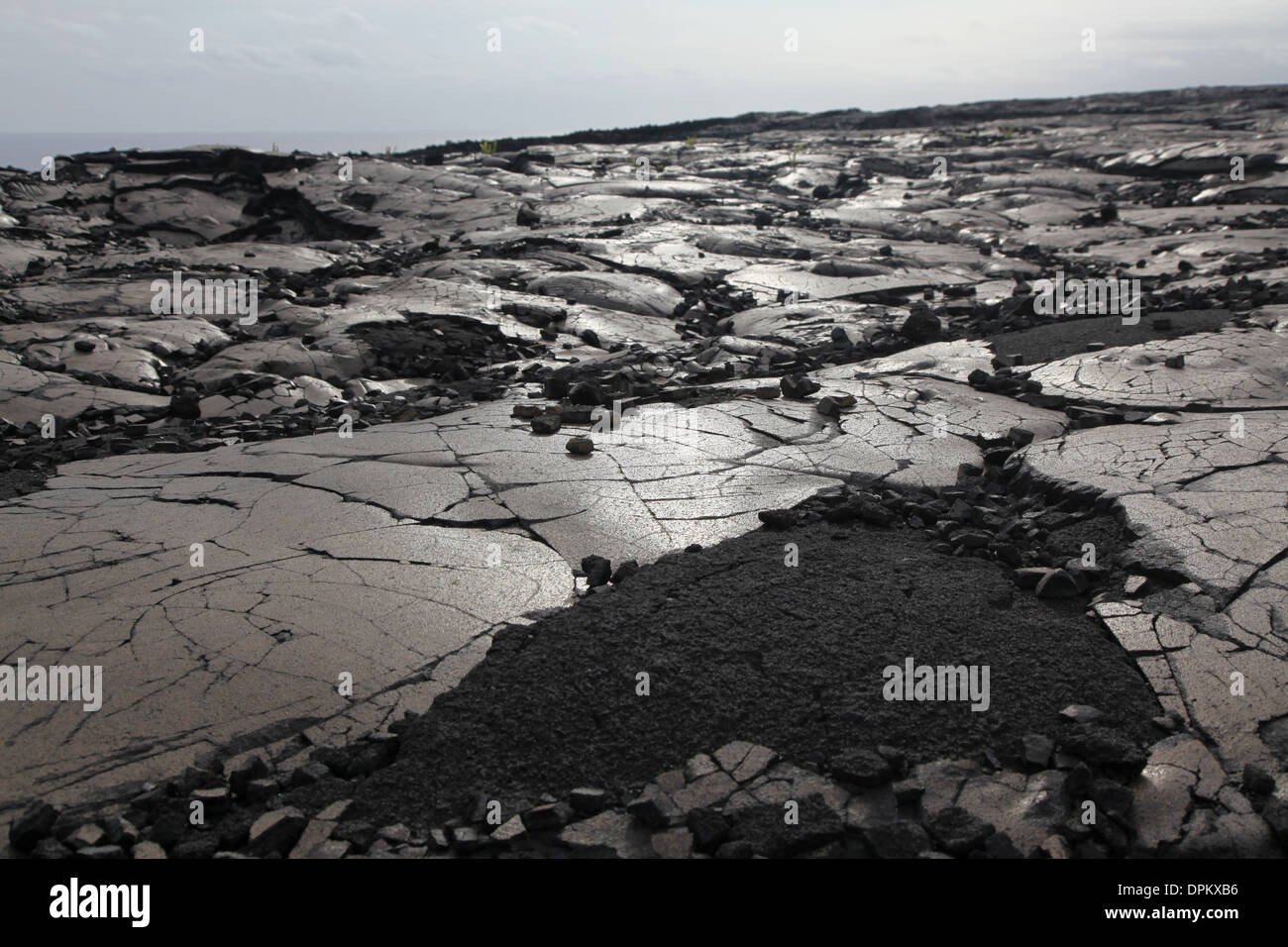 Solidified Pahoehoe Or Ropey Lava Field High Resolution Stock ...