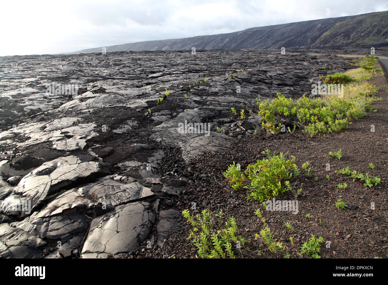 Solidified lava field hi-res stock photography and images - Alamy