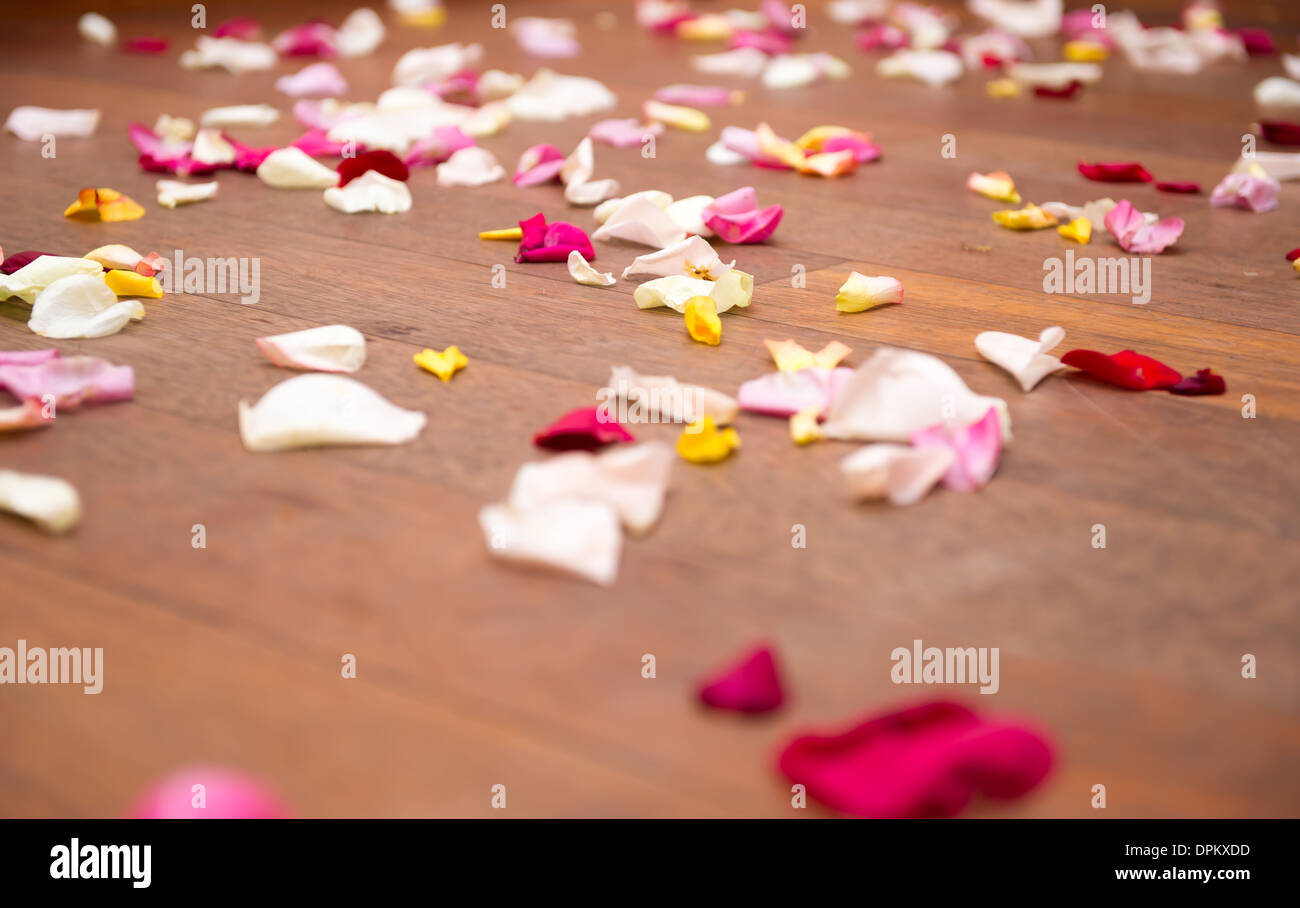 Rose petals on the floor Stock Photo - Alamy