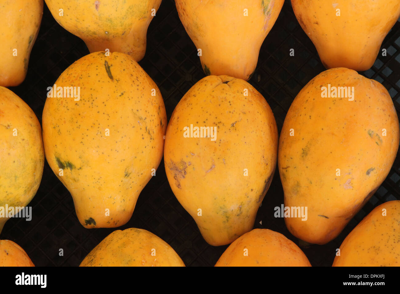 Luscious yellow papaya fruit packed ready to eat Stock Photo - Alamy