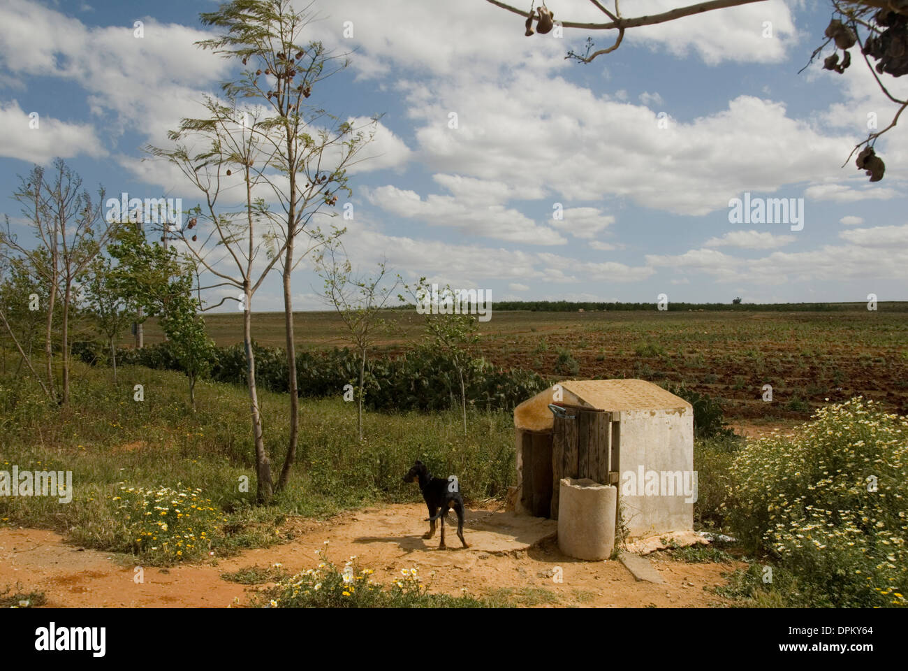 MOROCCO; MEKNES; FARMLAND LANDSCAPE Stock Photo - Alamy