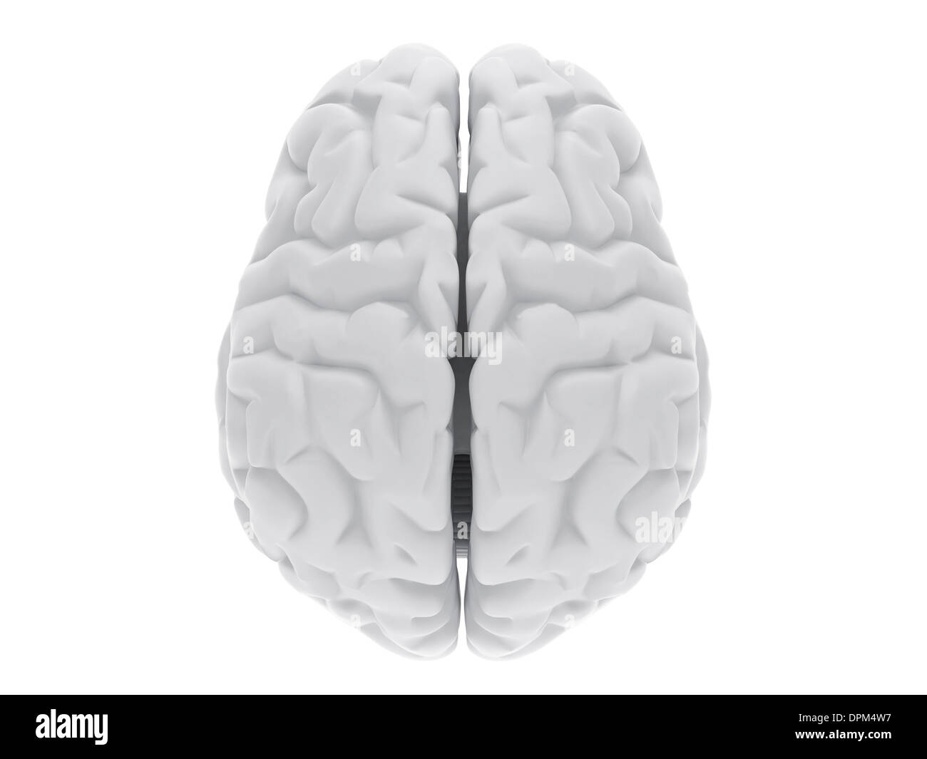 High resolution image. 3d rendered illustration. 3d human brain Stock ...