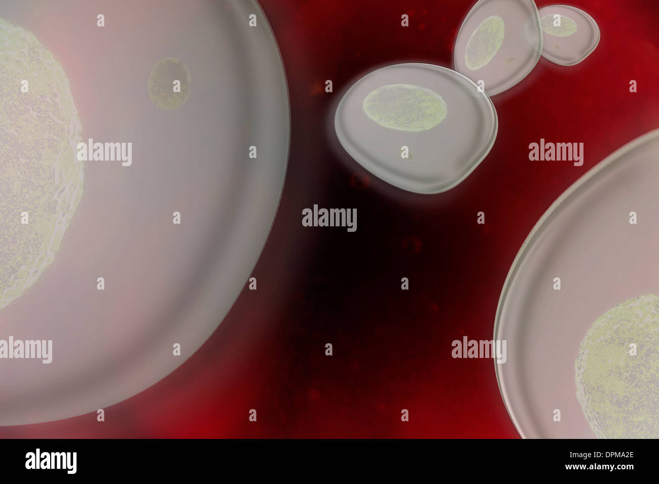 artwork cells blood cell Stock Photo - Alamy