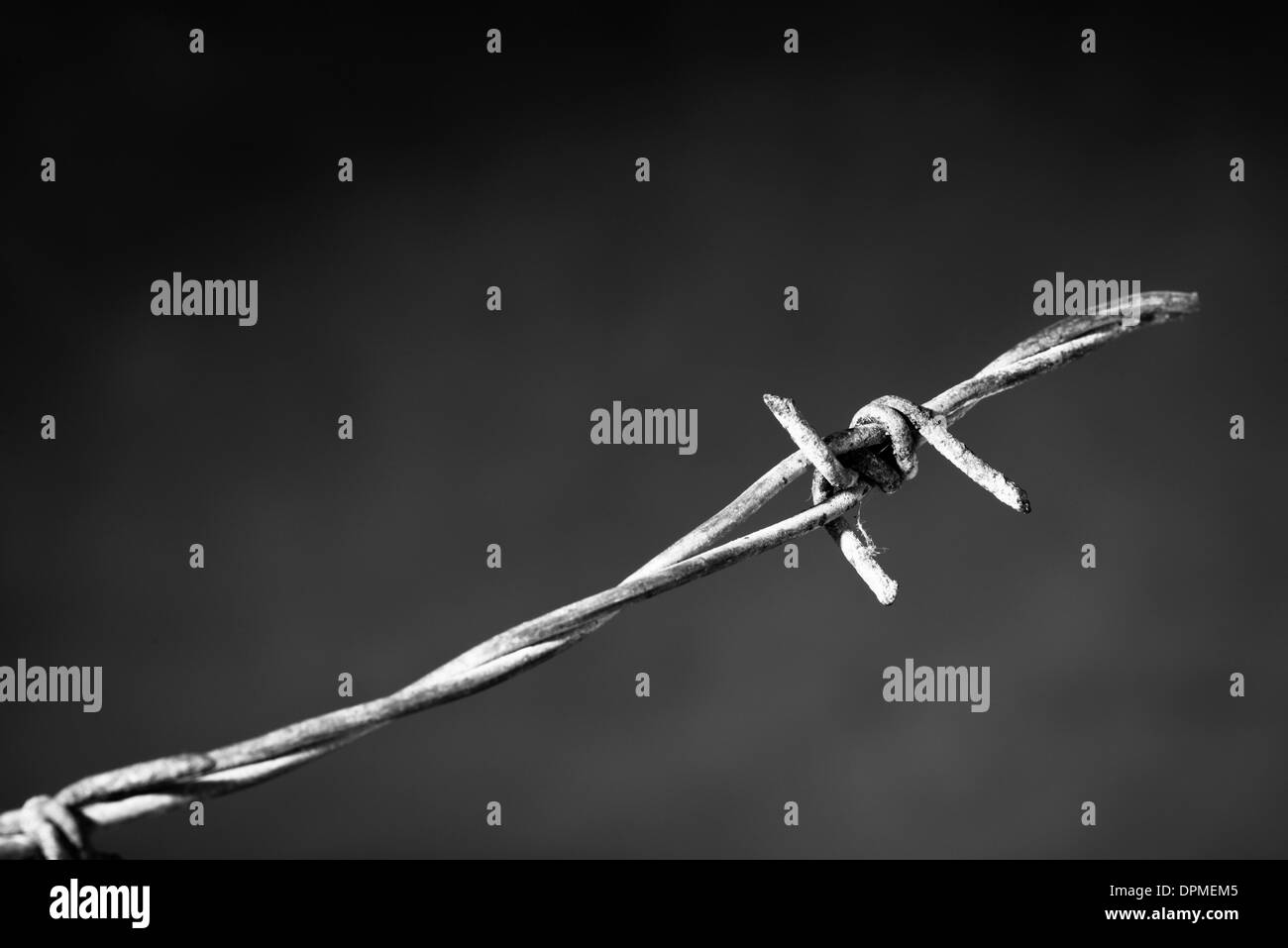 rusty barbed wire on the dark background Stock Photo - Alamy