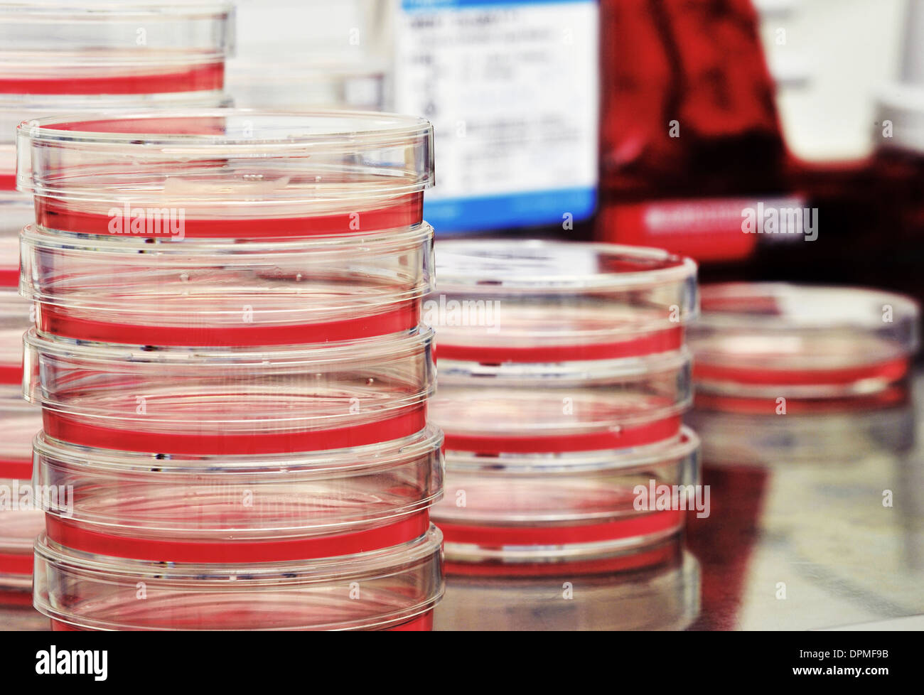 Cell culture hood hi-res stock photography and images - Alamy