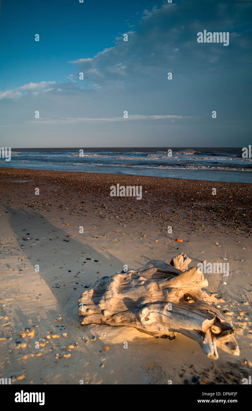 shingle beach at covehithe suffolk Stock Photo - Alamy
