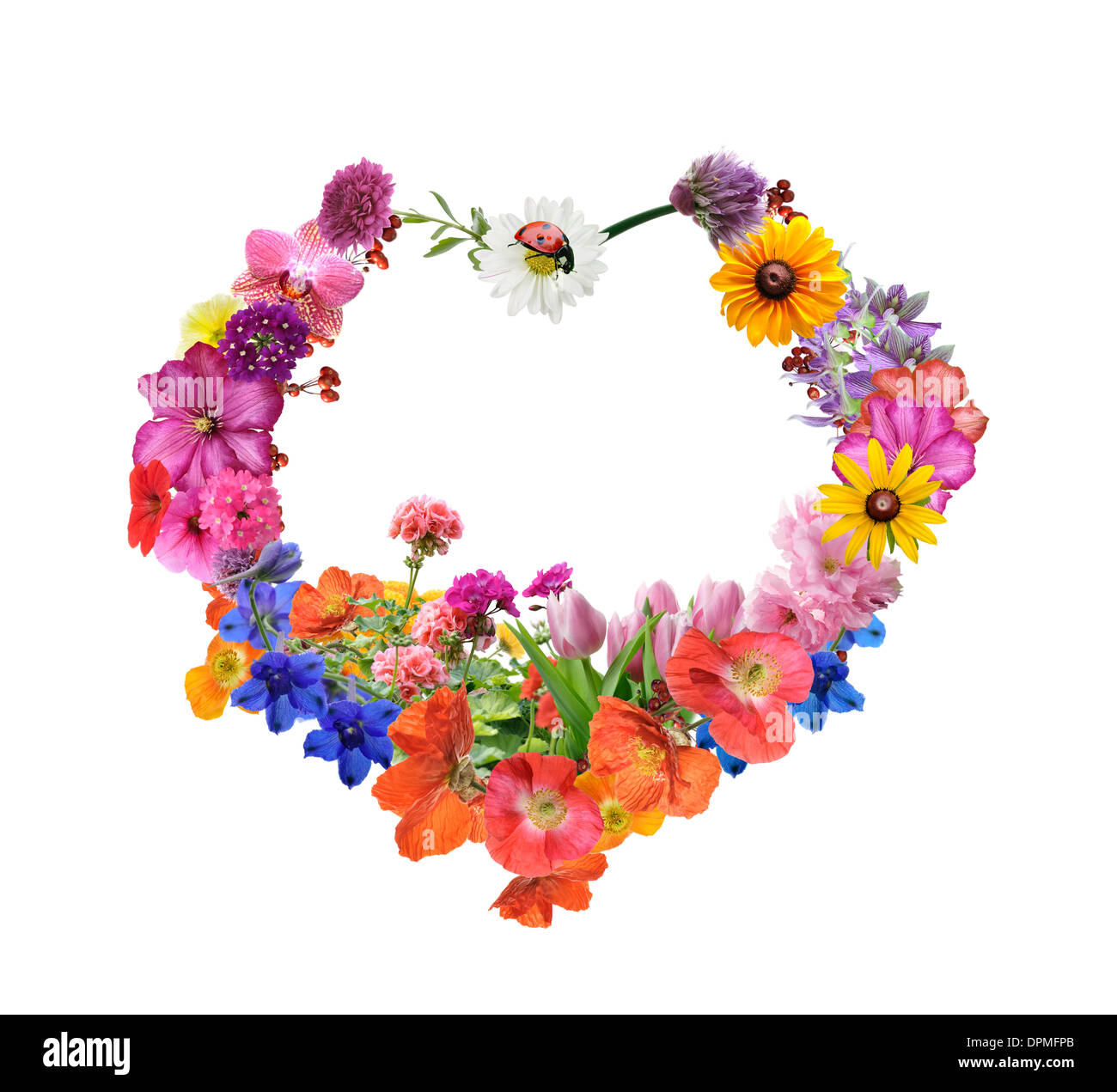 Colorful Assorted Flowers In Heart Shape Isolated On White Background ...