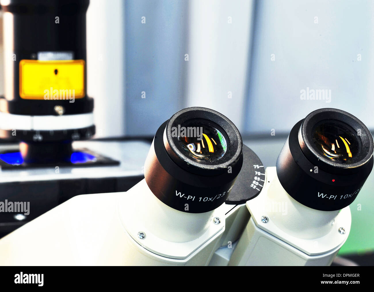 ocular light microscope Stock Photo - Alamy