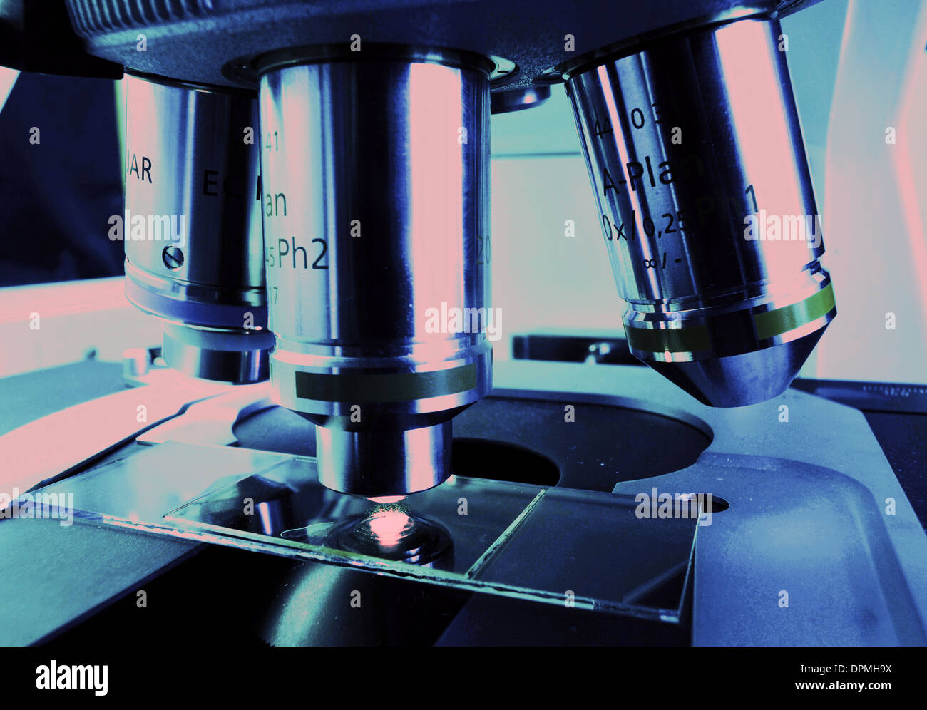 Light microscope hi-res stock photography and images - Alamy