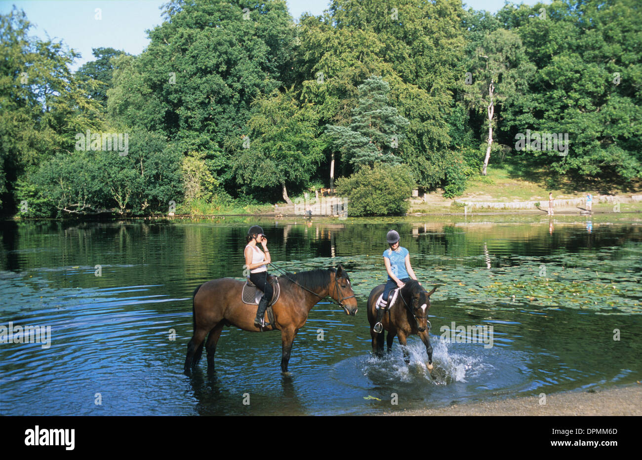 Keston Common High Resolution Stock Photography and Images - Alamy