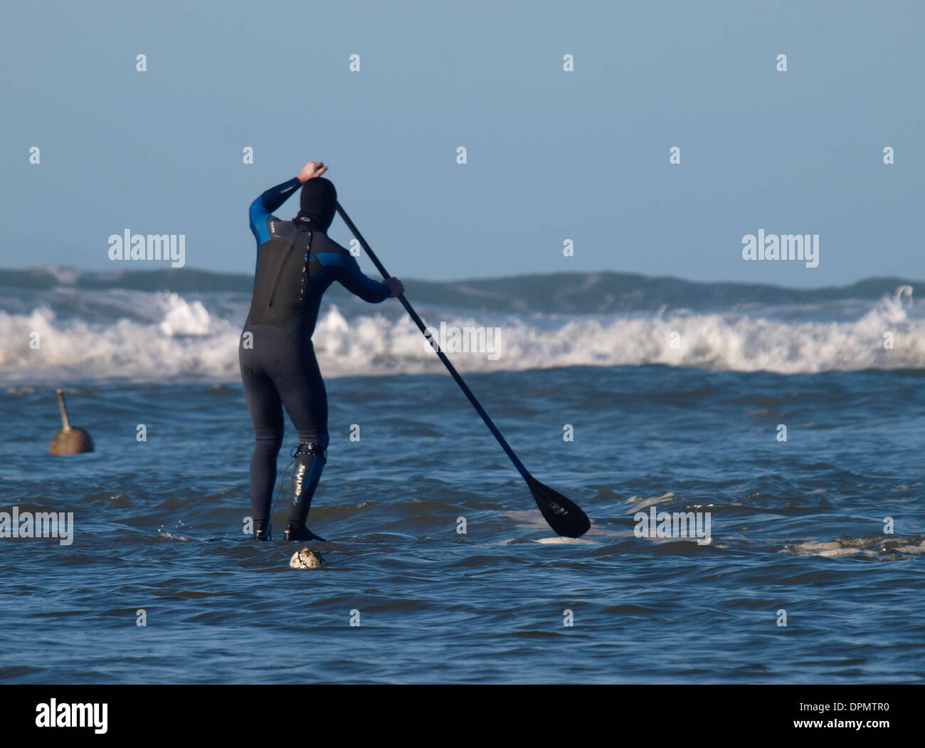 Stand up paddle boarder heading towards the waves, Bude, Cornwall, UK ...