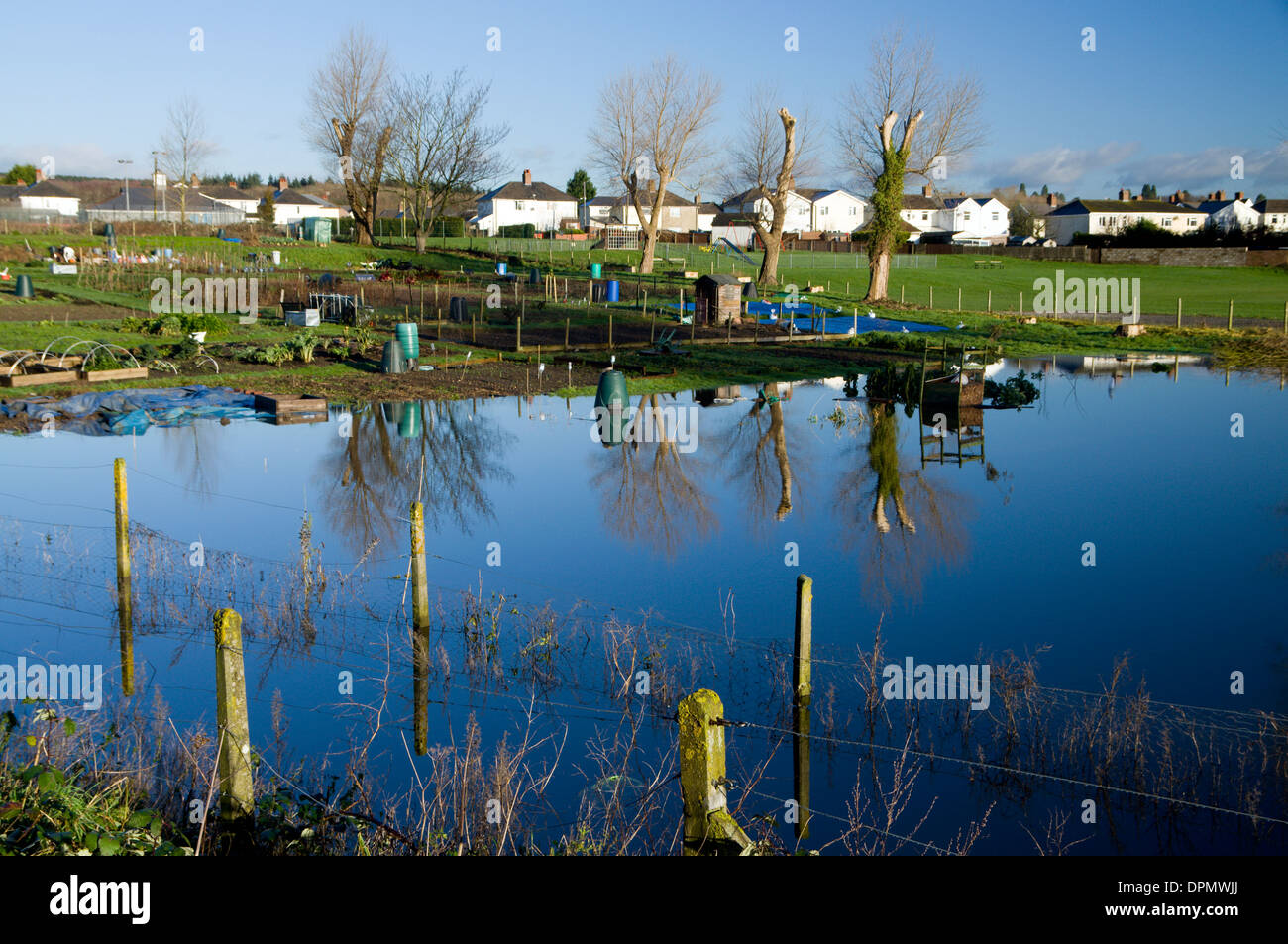 Rogiet hi-res stock photography and images - Alamy