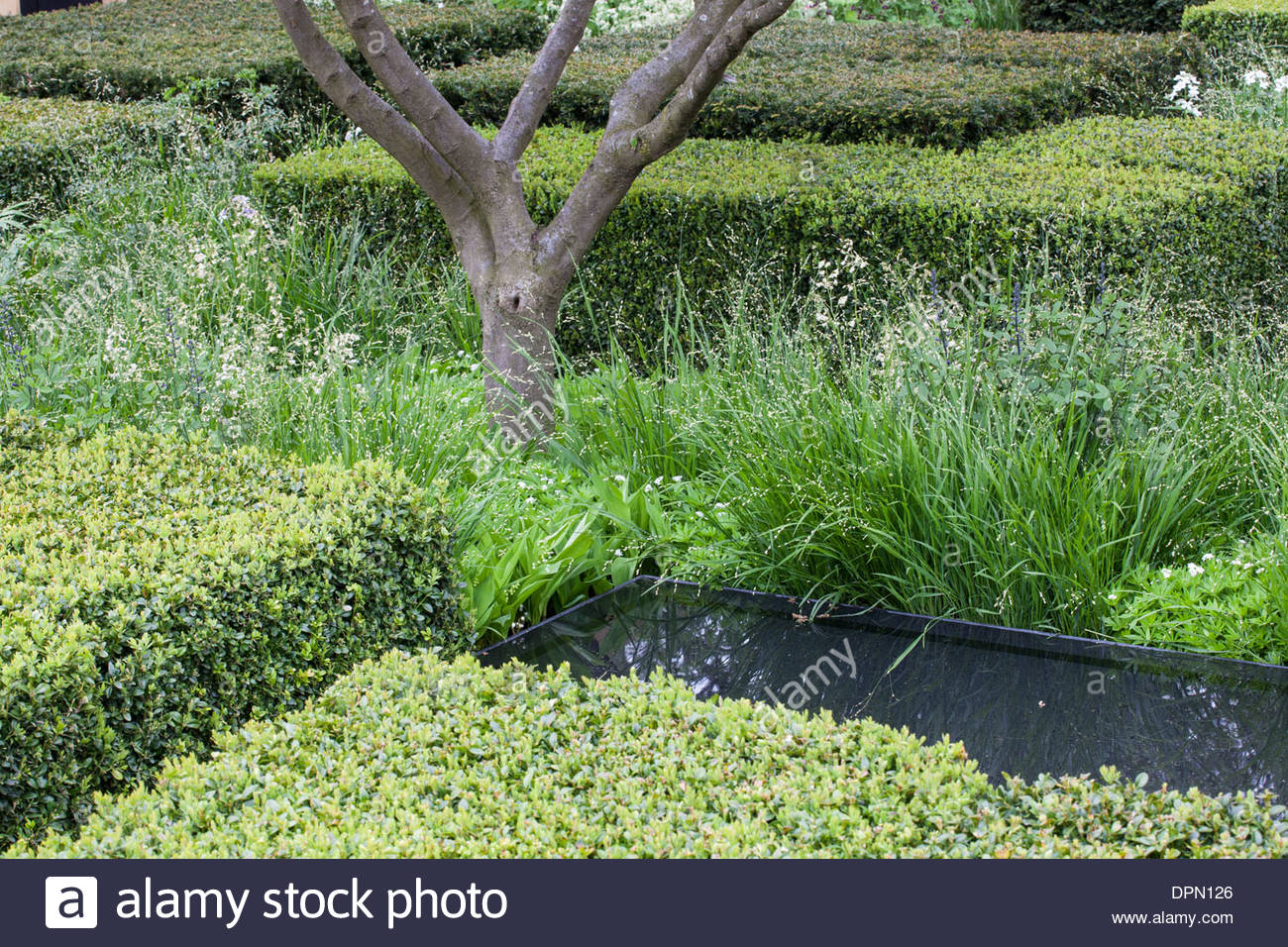 Clipped Garden Hedge Stock Photos & Clipped Garden Hedge Stock Images ...