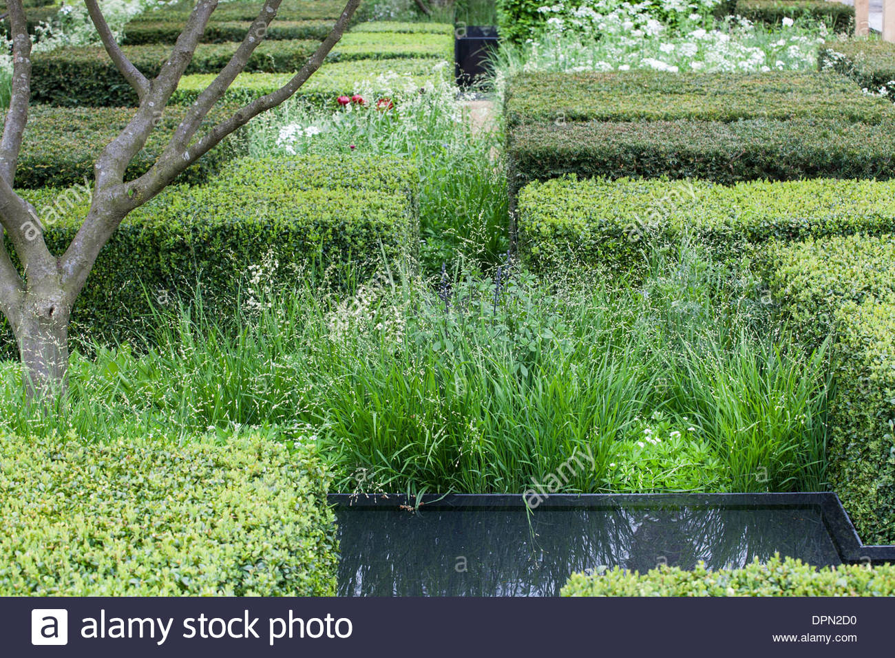 Clipped Garden Hedge Stock Photos & Clipped Garden Hedge Stock Images ...