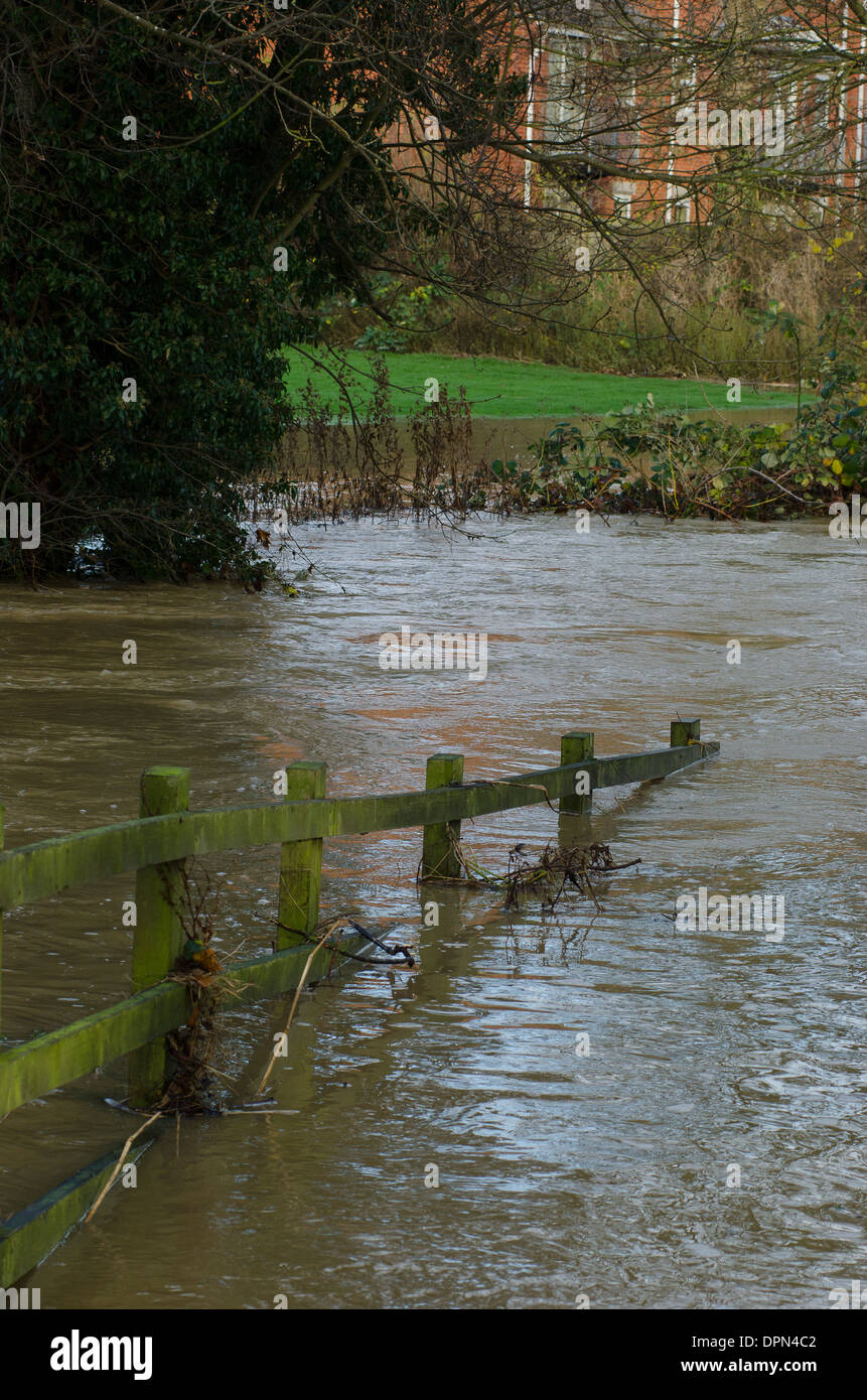 River overflowing its banks hi-res stock photography and images - Alamy