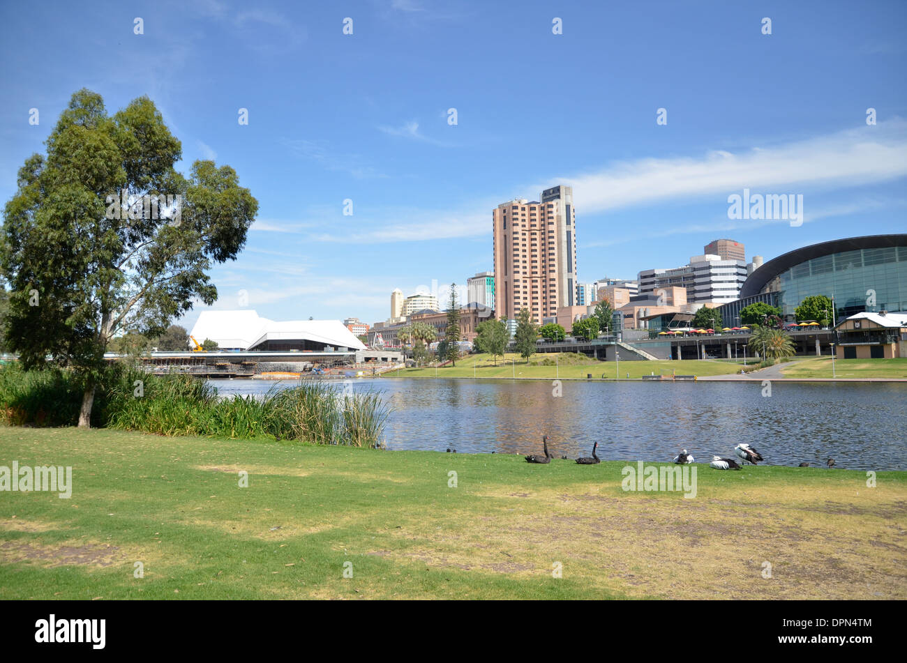 The Torrens River in Adelaide, South Australia Stock Photo - Alamy