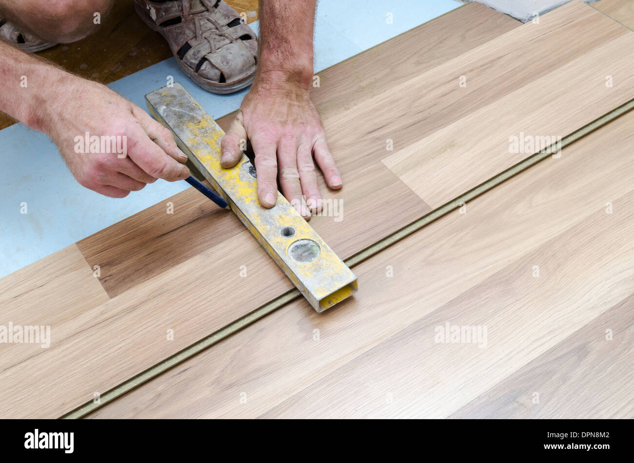 Home improvement, new floor installation Stock Photo - Alamy