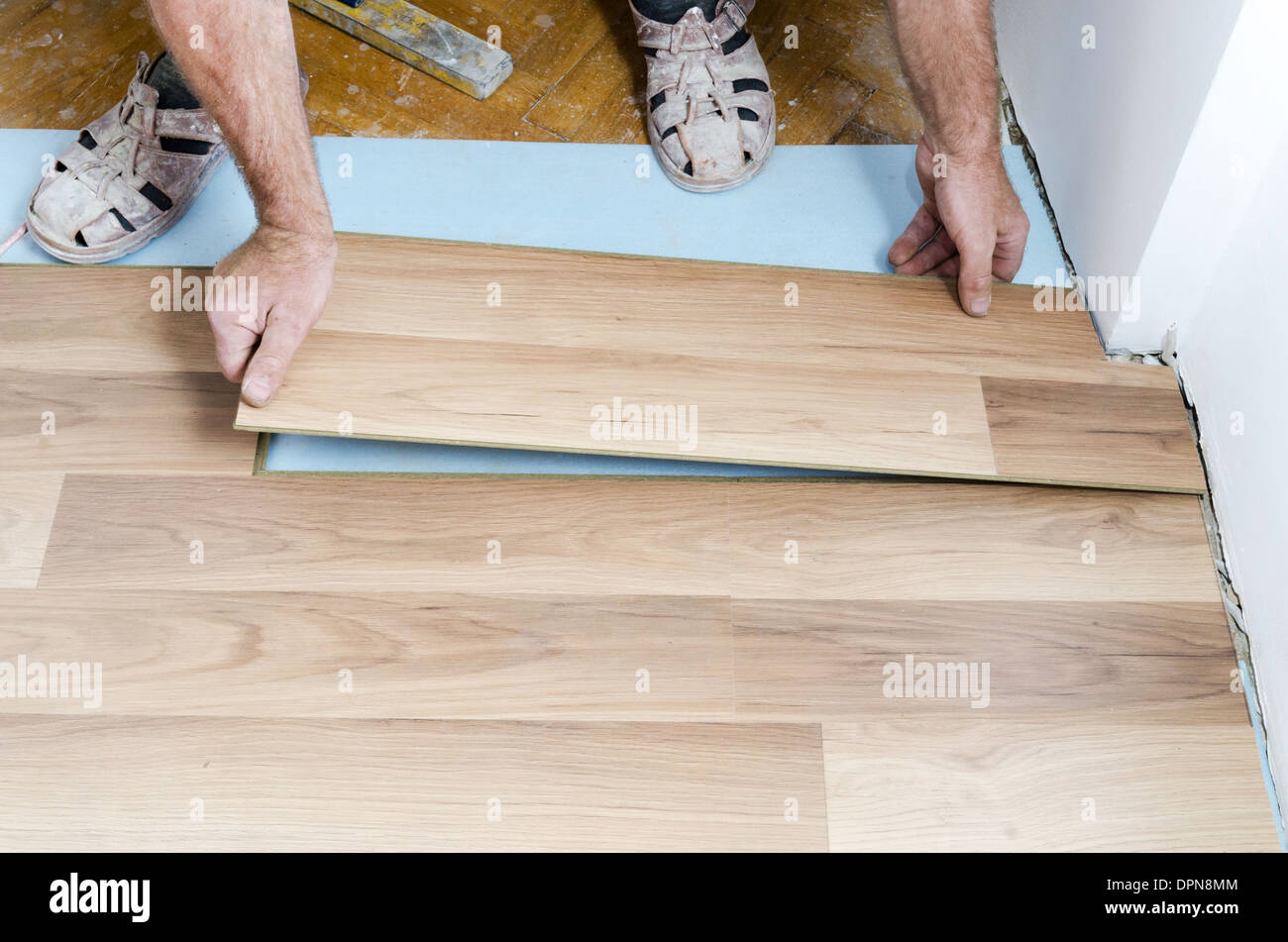 Home improvement, new floor installation Stock Photo - Alamy