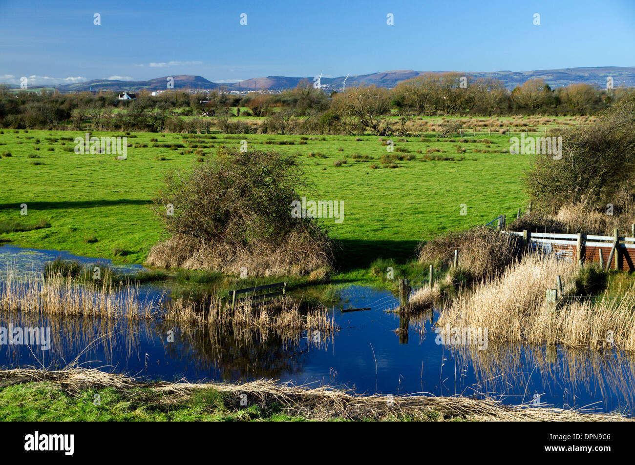 Gwent Levels Between Caldicot and Newport, Gwent, South Wales, United ...
