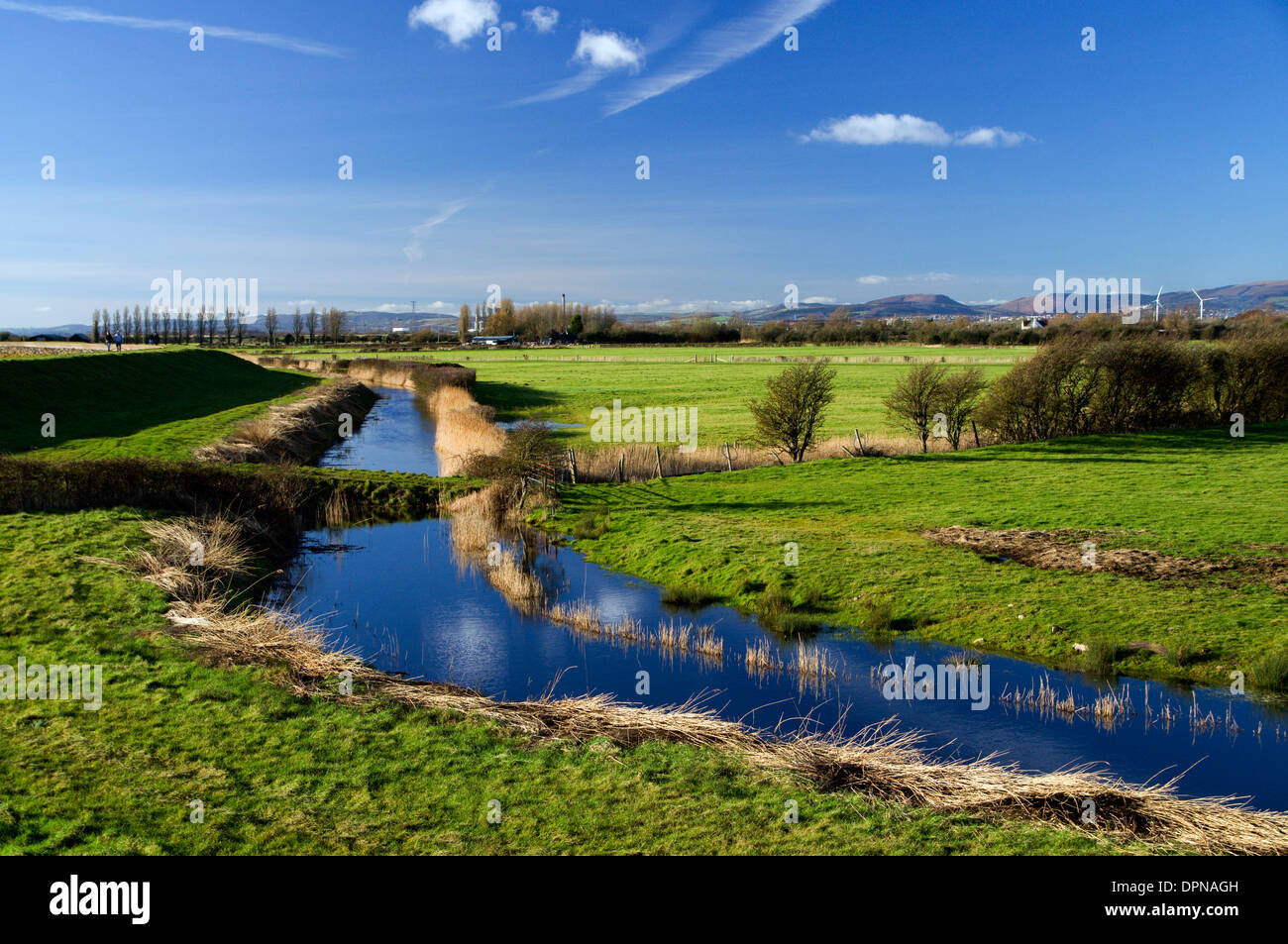 Gwent Levels Between Caldicot and Newport, Gwent, South Wales, United ...