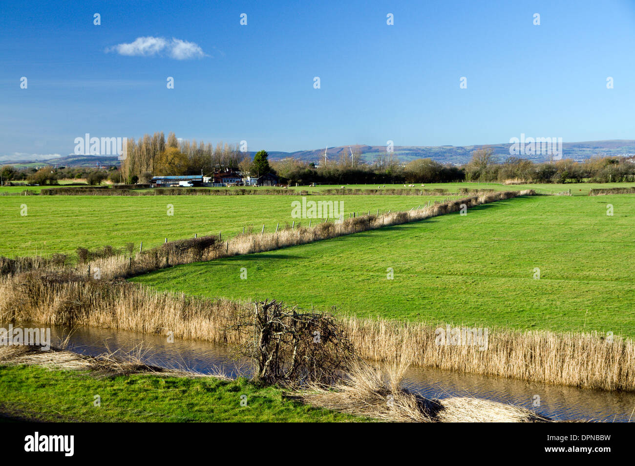 Gwent Levels Between Caldicot and Newport, Gwent, South Wales, United ...