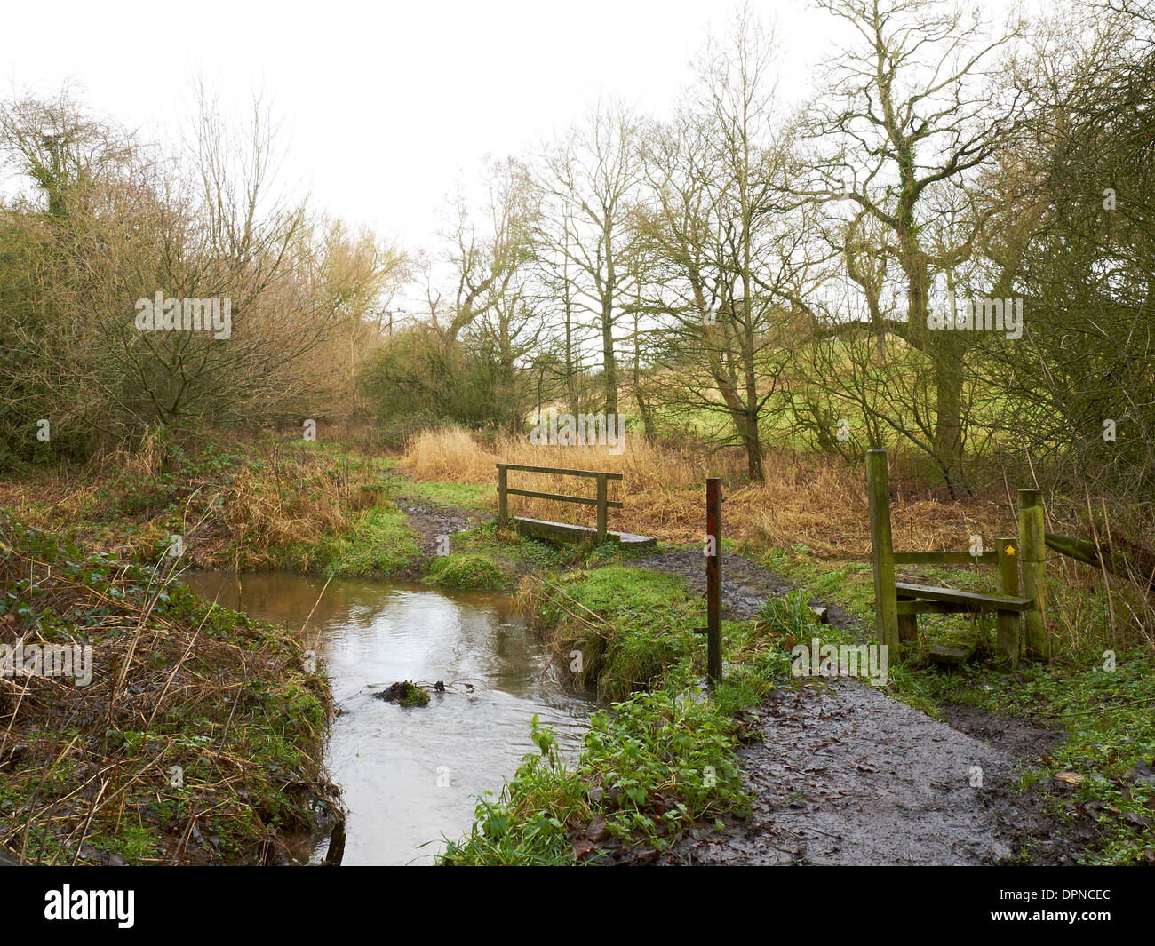 Muddy footpath hi-res stock photography and images - Alamy