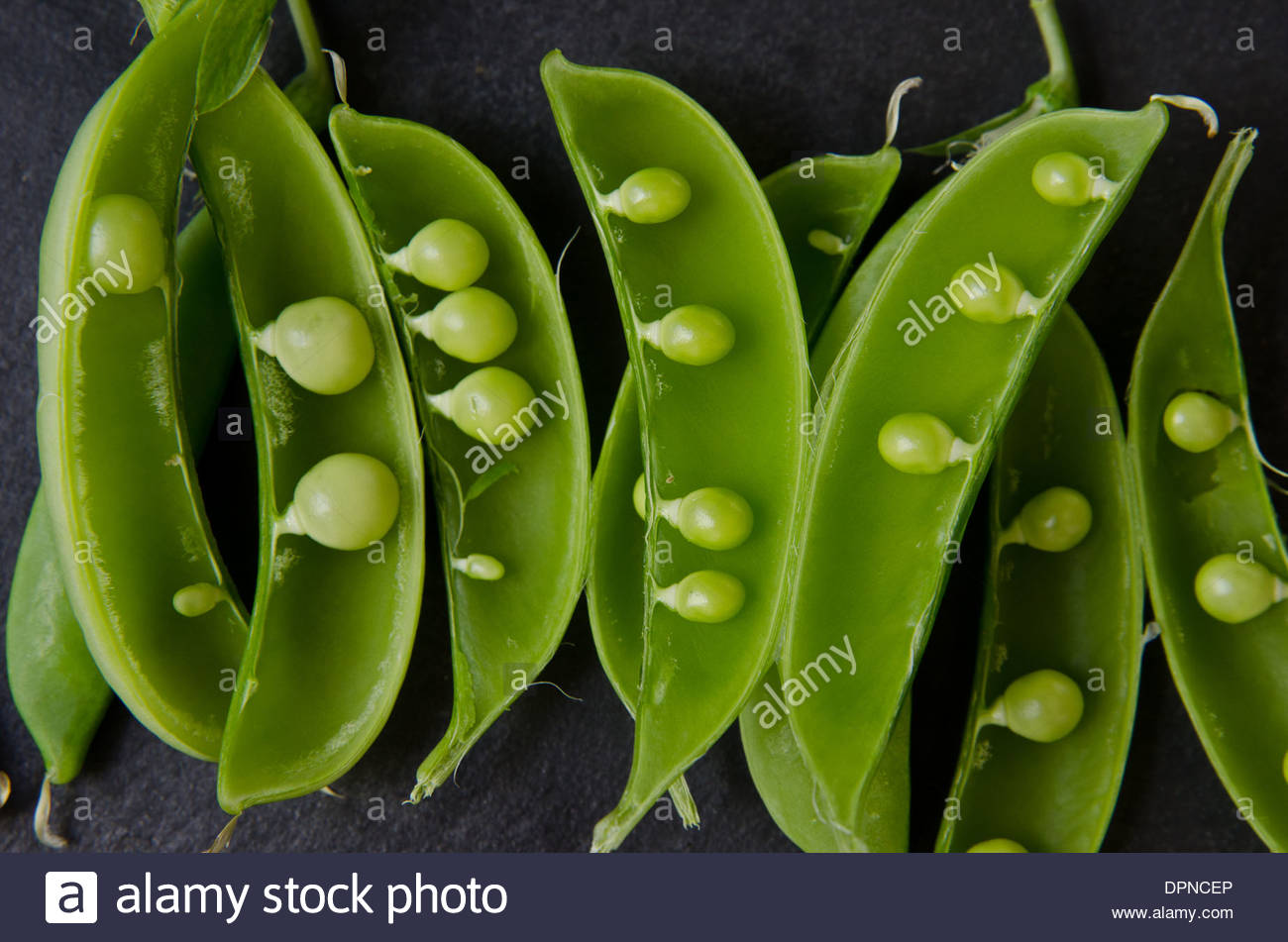 Garden Peas Pod Stock Photos & Garden Peas Pod Stock Images - Alamy
