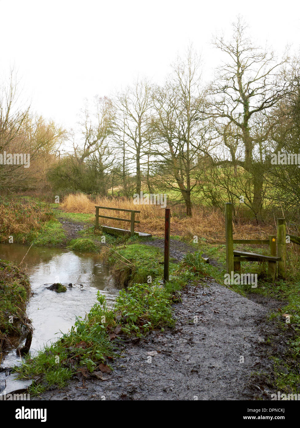 Muddy public footpath in Cheshire UK Stock Photo - Alamy