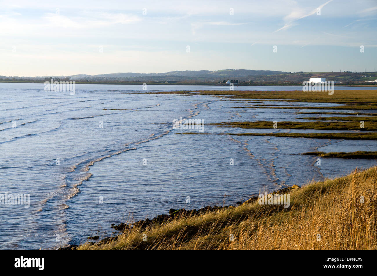 Newport Wetland Reserve, Gwent Levels, Newport, South Wales Stock Photo ...