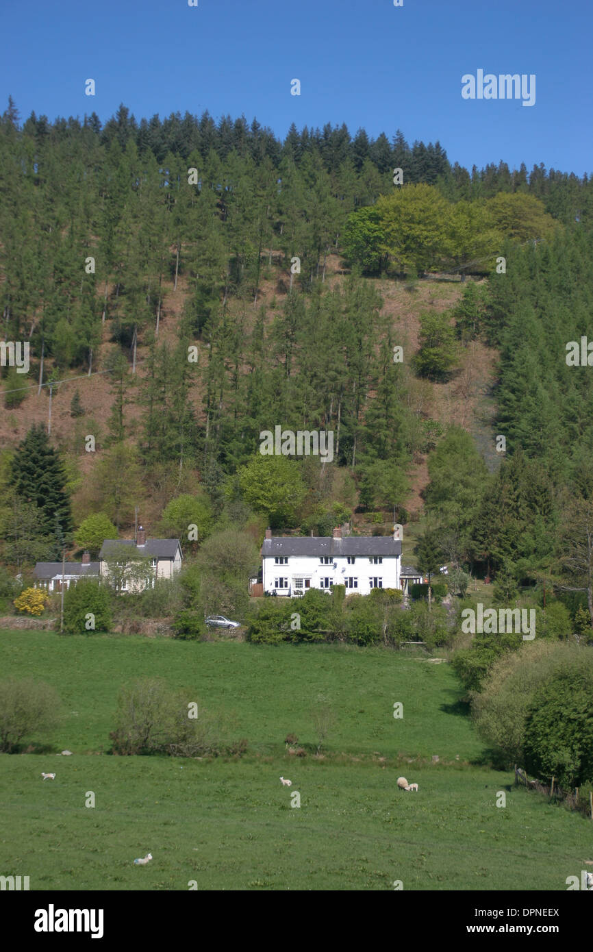 Llanferres hi-res stock photography and images - Alamy