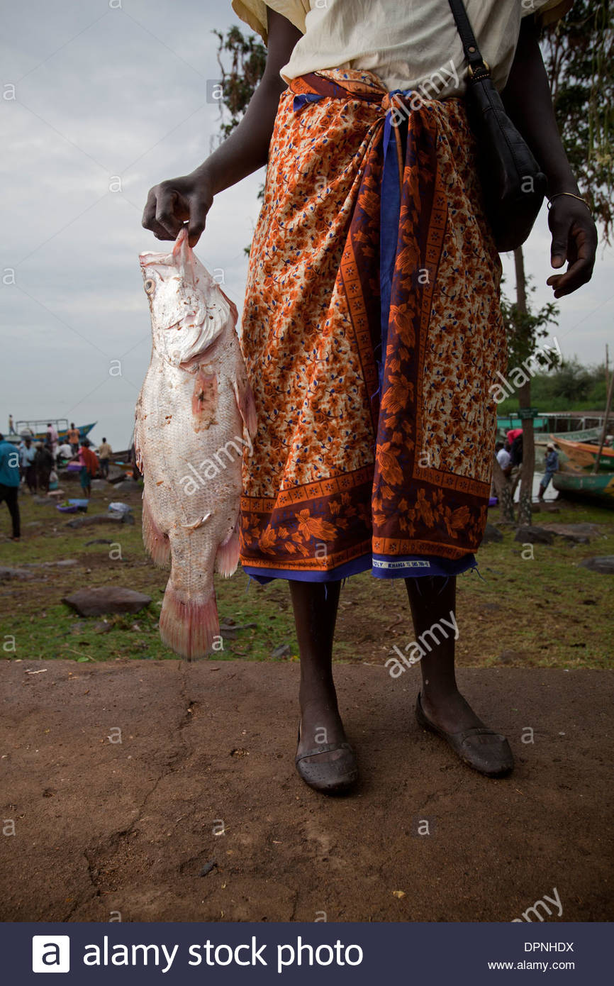 Fish nile perch hi-res stock photography and images - Alamy