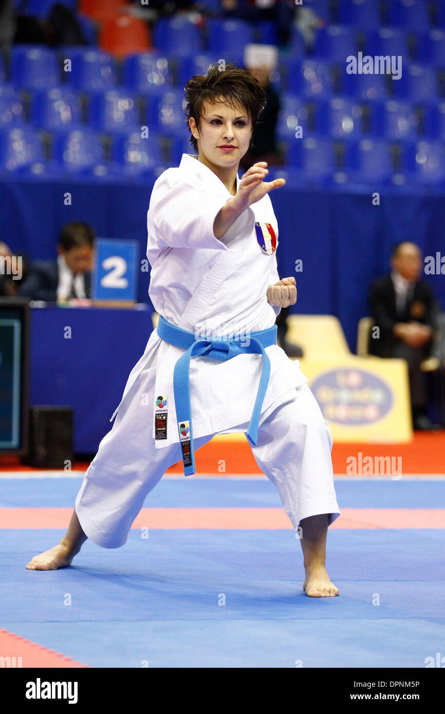 Paris, France. 10th Jan, 2014. Karate Open of paris. Kata Exhibition ...