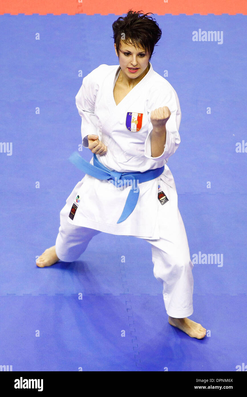 Paris, France. 10th Jan, 2014. Karate Open of paris. Kata Exhibition ...