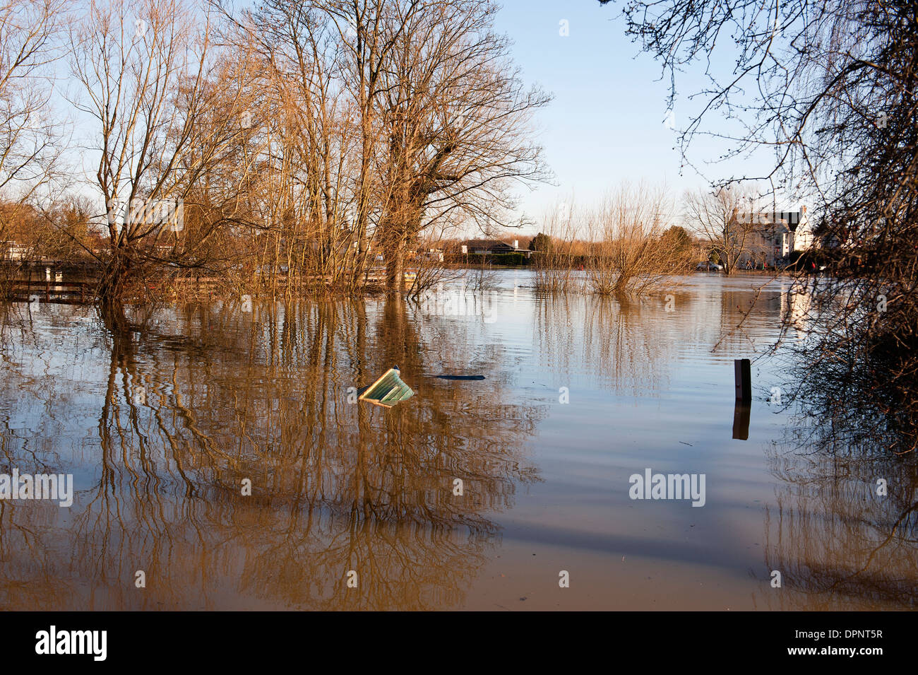 A Flooded River Thames as seen from The Bridge Hotel Chertsey Surrey ...