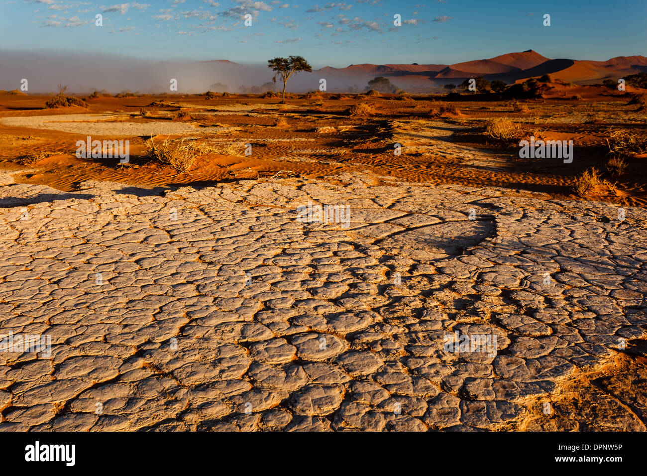 Cracked mud pattern hi-res stock photography and images - Alamy