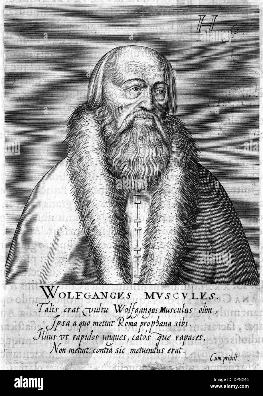 Wolfgang musculus hi-res stock photography and images - Alamy