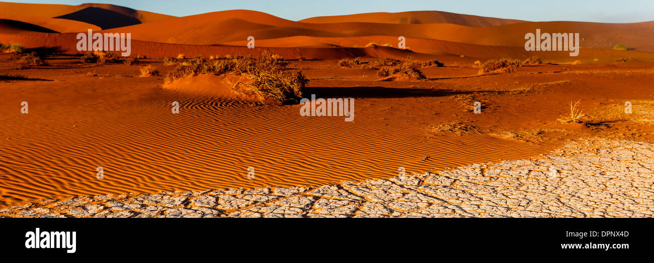 Cracked desert floor hi-res stock photography and images - Alamy