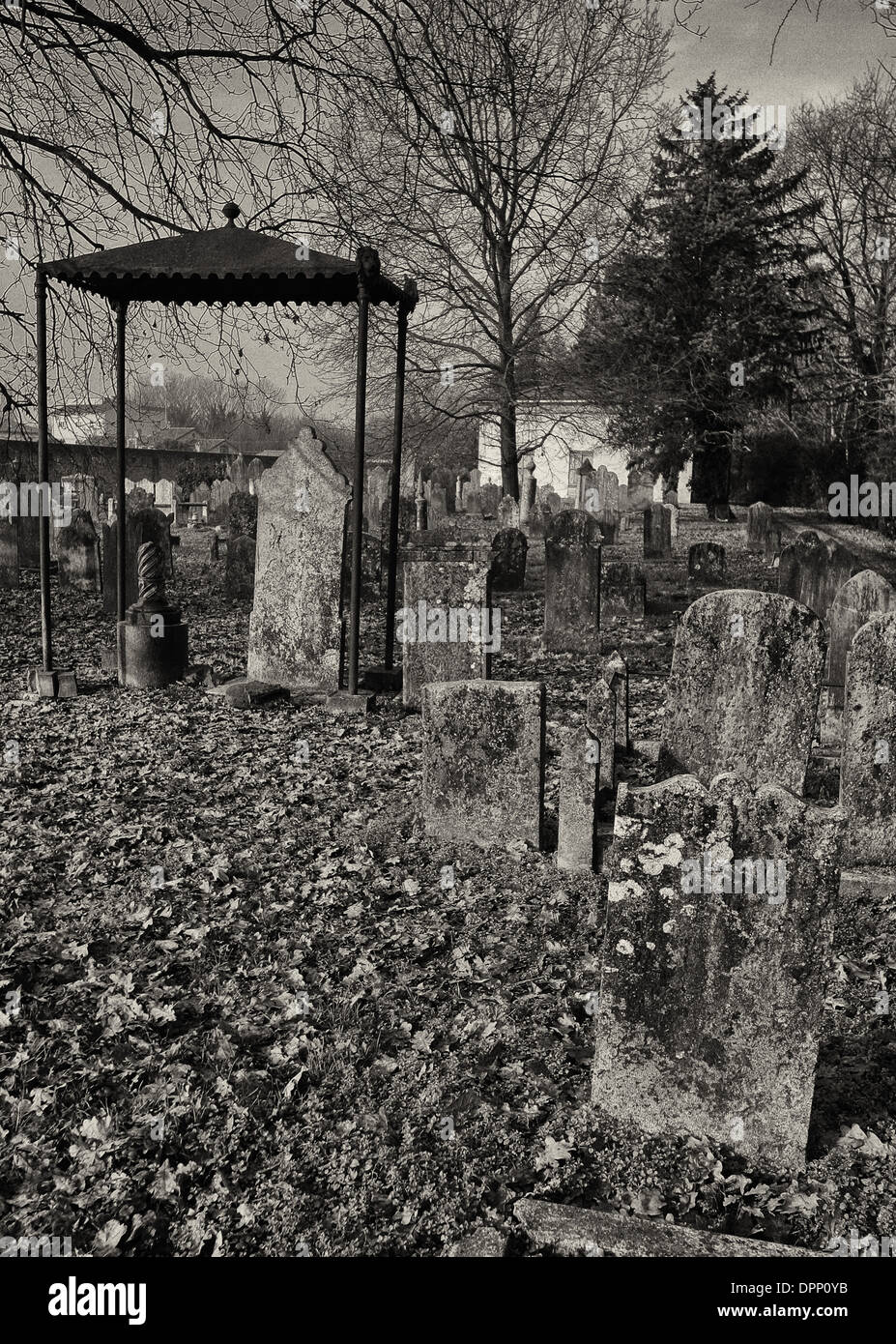 Finzi hi-res stock photography and images - Alamy