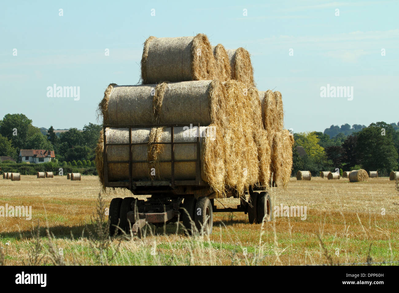 Hay cart hi-res stock photography and images - Alamy