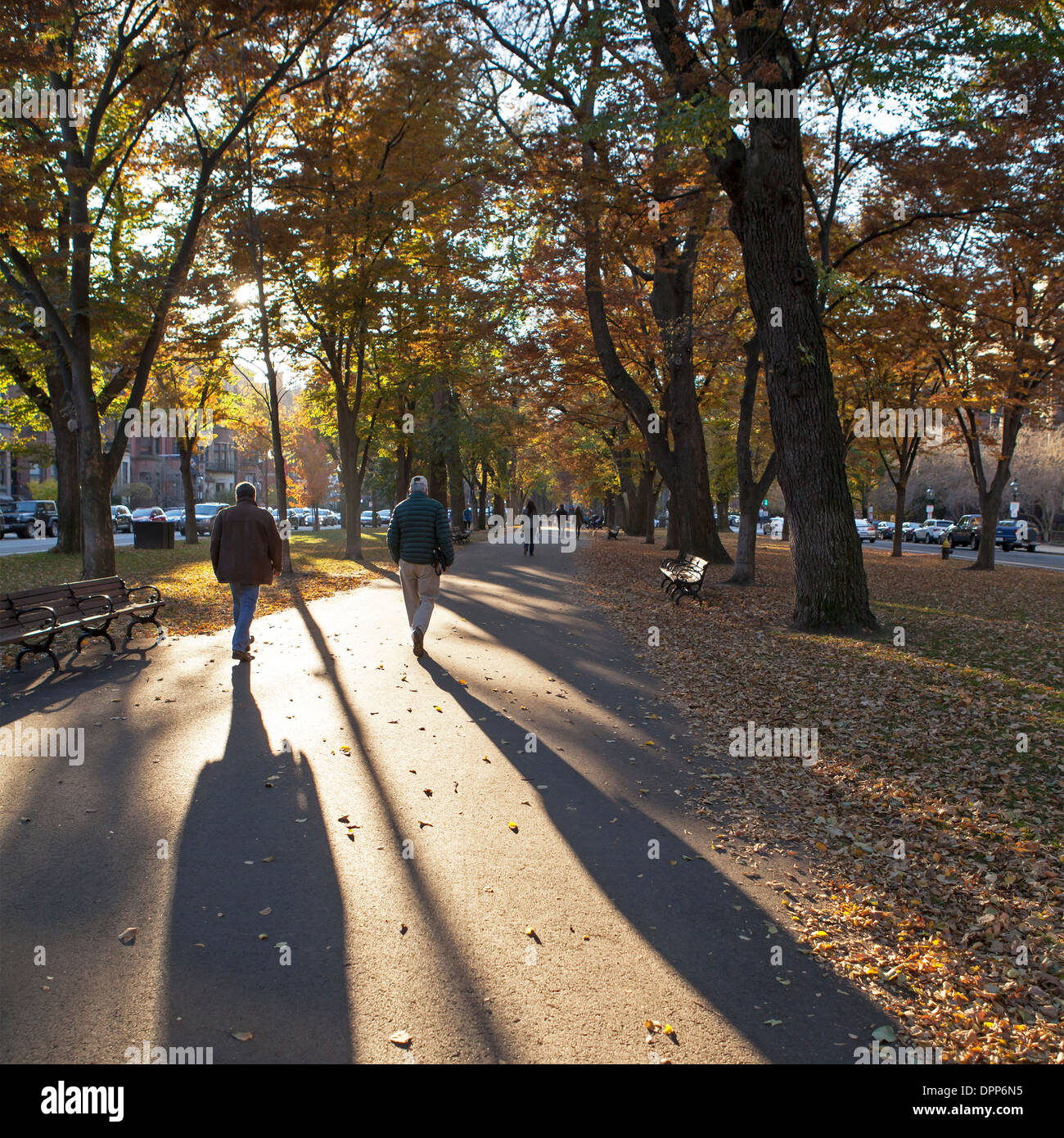 Commonwealth avenue boston hi-res stock photography and images - Alamy
