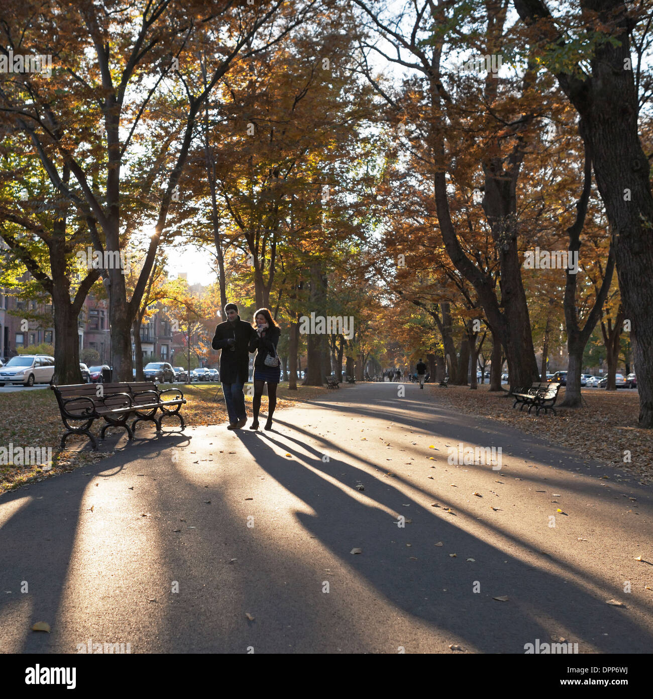 The commonwealth avenue mall hi-res stock photography and images - Alamy